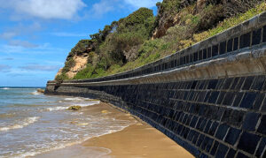 Coastal protection | What role do geosynthetics play in it?